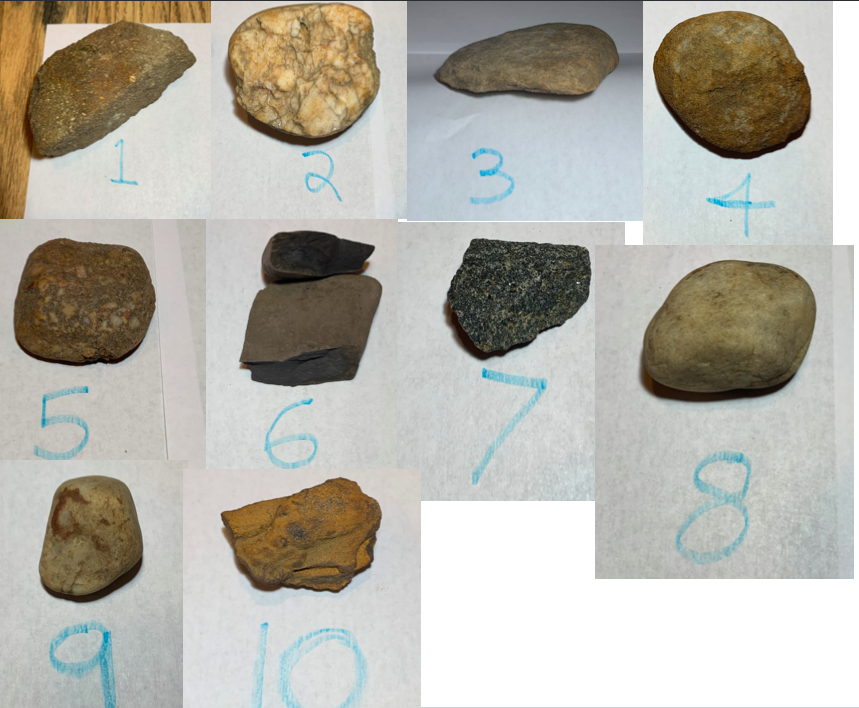 Solved For specimen 1 - 1 0 , ﻿"NAME" ﻿each type of rock AND | Chegg.com