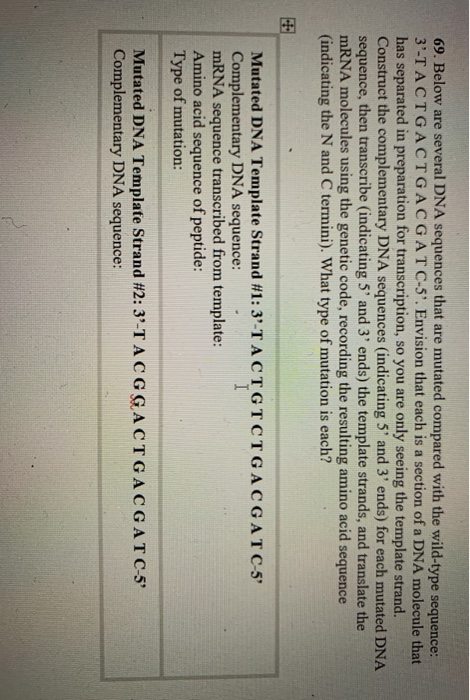 Solved 69. Below are several DNA sequences that are mutated | Chegg.com