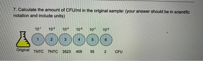 Solved 7. Calculate the amount of CFU/ml in the original | Chegg.com