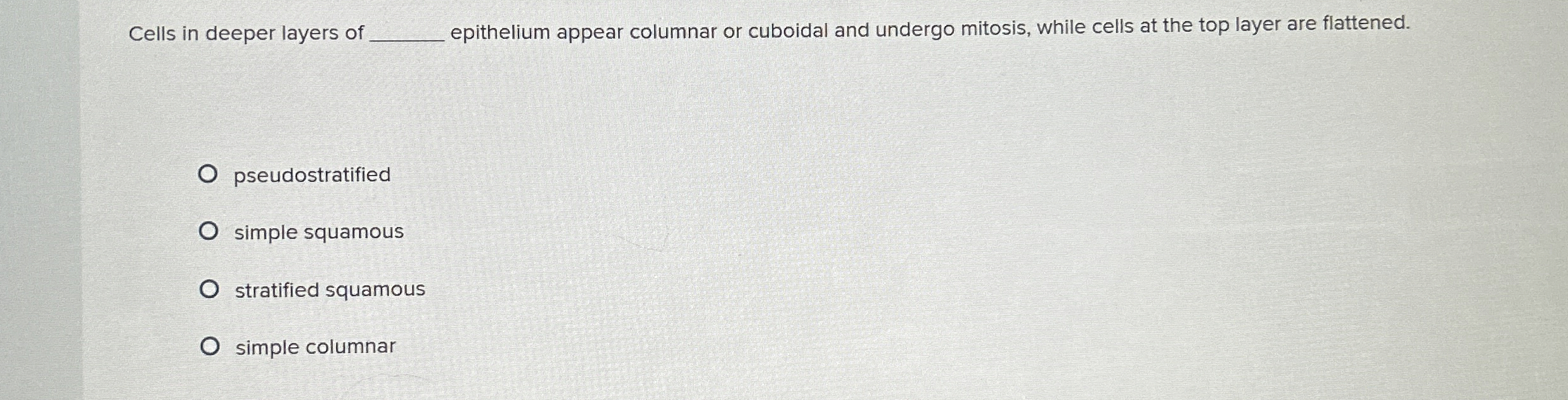 Solved Cells in deeper layers of q, ﻿epithelium appear | Chegg.com