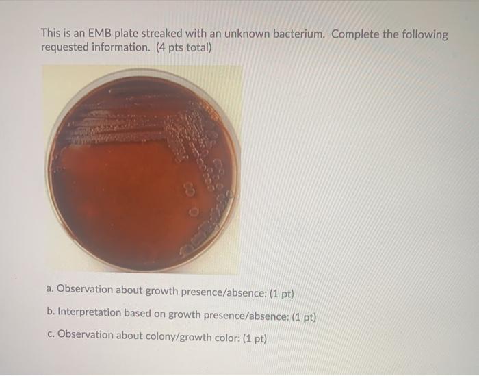Solved This is an EMB plate streaked with an unknown | Chegg.com