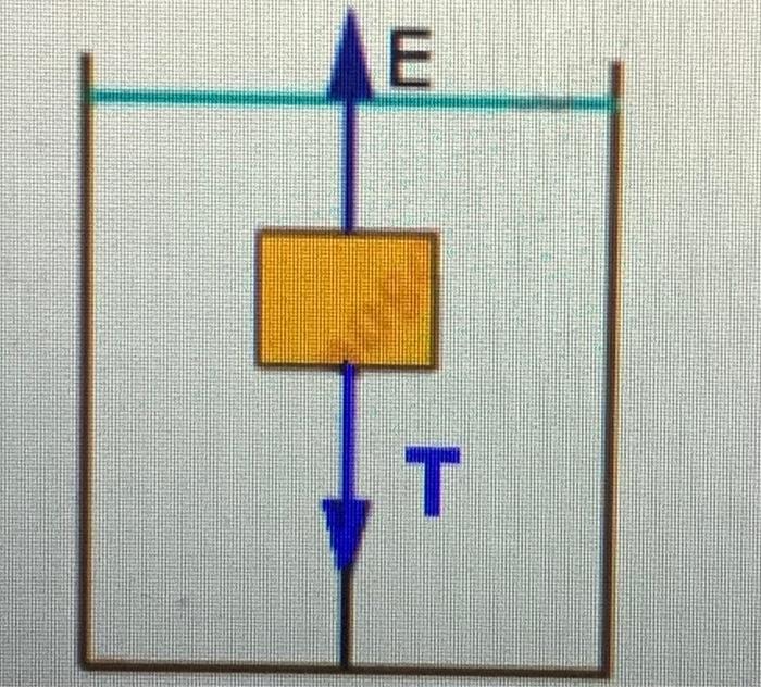 Solved An 884g cube measuring 10cm on each side is tied to | Chegg.com