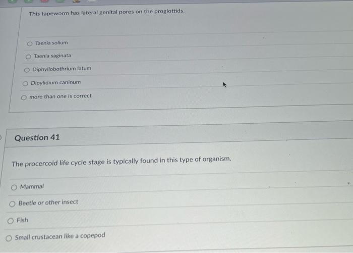 Solved This tapeworm has lateral genital pores on the | Chegg.com