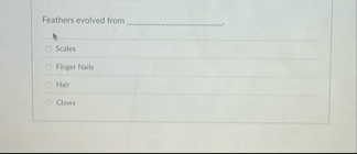 Solved Feathers evolved from ScalesFinger NailsHirClum | Chegg.com