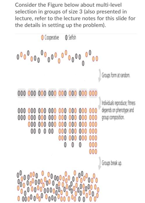 Solved Consider the Figure below about multi-level selection | Chegg.com