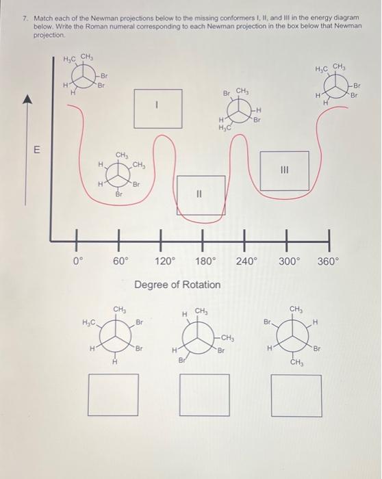 Solved 7. Match each of the Newman projections below to the | Chegg.com
