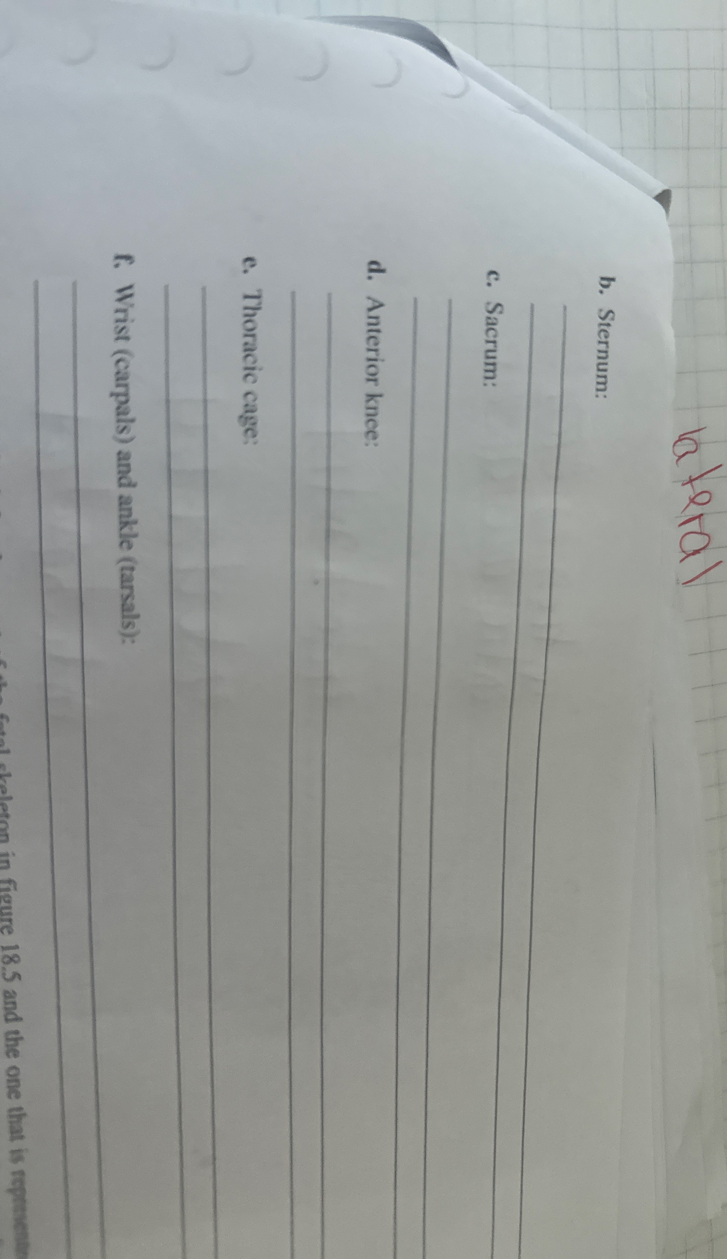 Solved locate and describe the discernible ossification of | Chegg.com