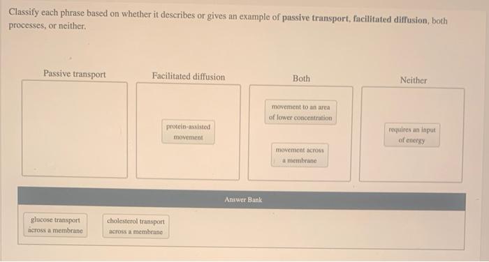 Solved Classify each phrase based on whether it describes or | Chegg.com