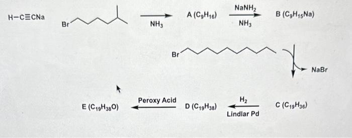 Solved H−C≡CNa NH3 A(C9H16)NH3 NaNH2 B(C9H15Na) E(C19H38O) | Chegg.com