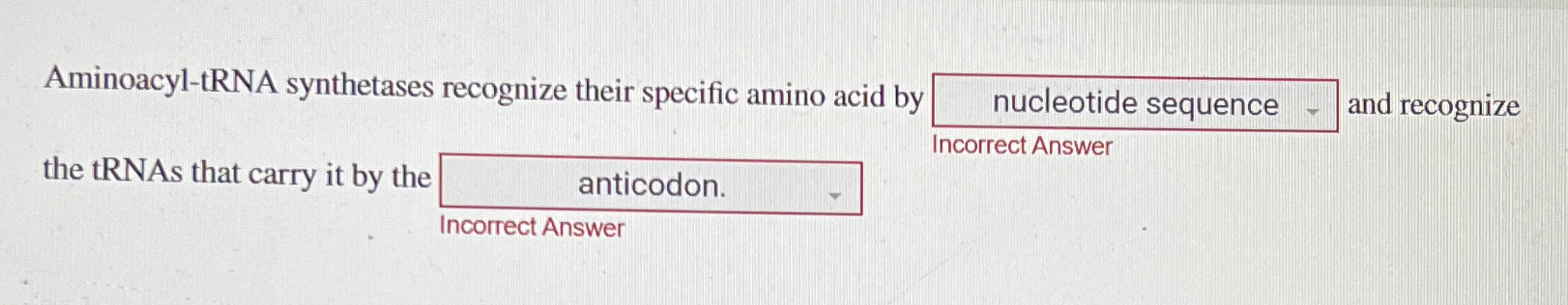Solved Aminoacyl-tRNA synthetases recognize their specific | Chegg.com