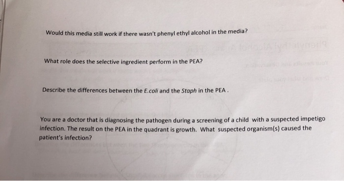 Solved Phenylethyl Alcohol Agar PEA Your Results and | Chegg.com