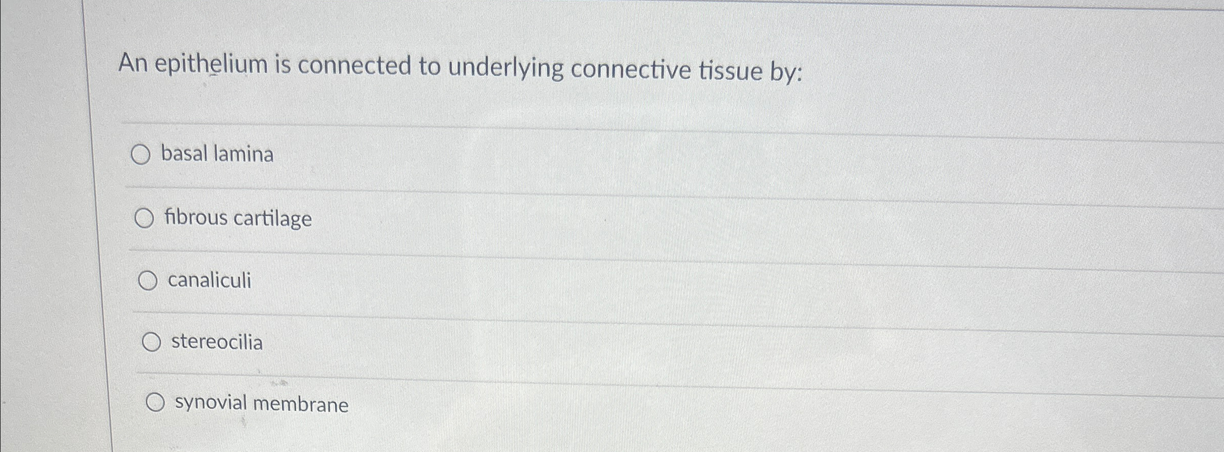 Solved An epithelium is connected to underlying connective | Chegg.com