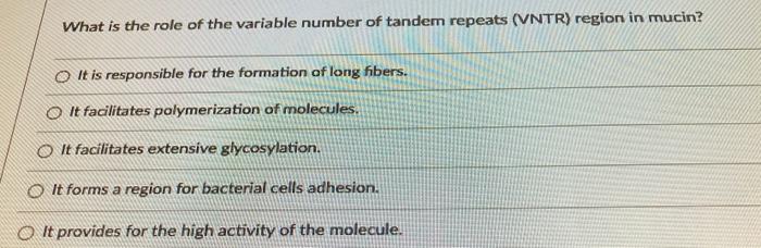 Variable Number Tandem Repeats
