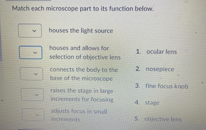 Solved Match each microscope part to its function below. | Chegg.com