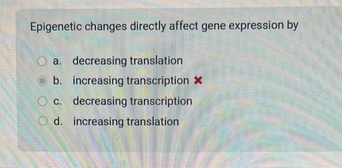 Solved Epigenetic changes directly affect gene expression by | Chegg.com