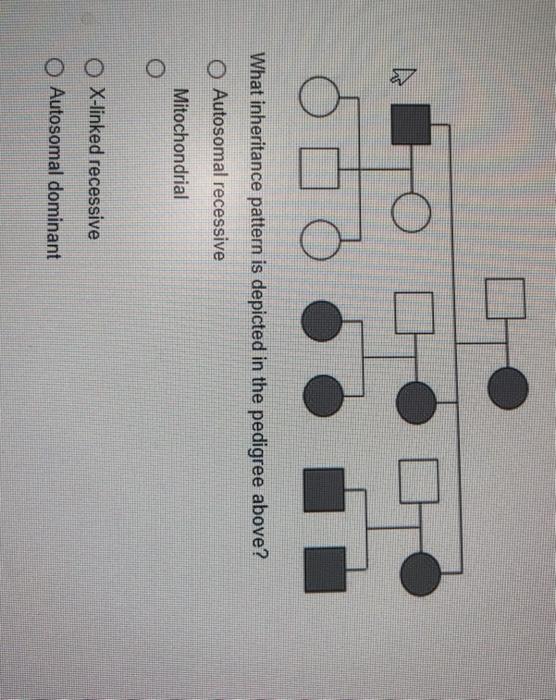 Solved What inheritance pattern is depicted in the pedigree | Chegg.com