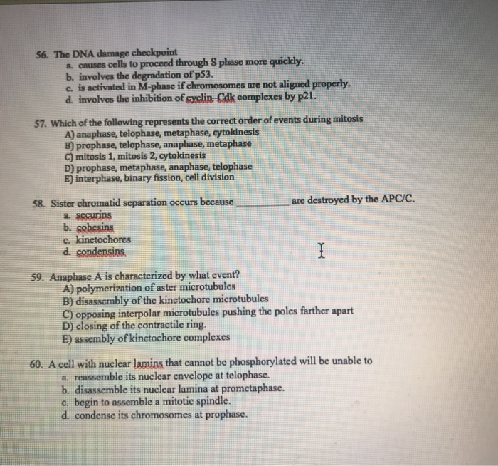 Solved 56 The DNA Damage Checkpoint Causes Cells To Proceed Chegg solved-56-the-dna-damage-checkpoint-causes-cells-to-proceed-chegg