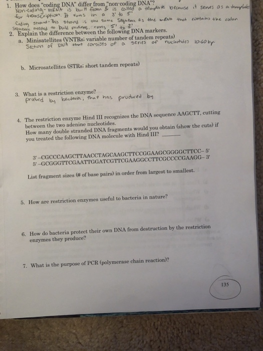 Solved 1. How does "coding DNA" differ from "non-coding | Chegg.com