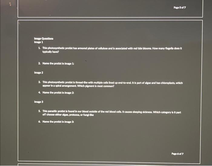 Solved Protists Identification Lab Name: Task 1. Fill in | Chegg.com