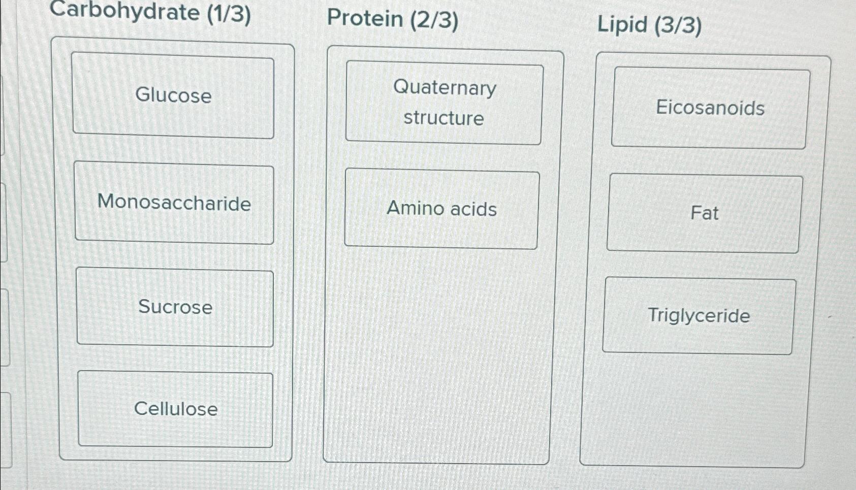Solved Carbohydrate (1/3)Protein (23)Lipid (3/3)Amino acids | Chegg.com