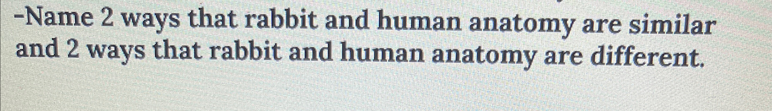 Solved -Name 2 ﻿ways that rabbit and human anatomy are | Chegg.com