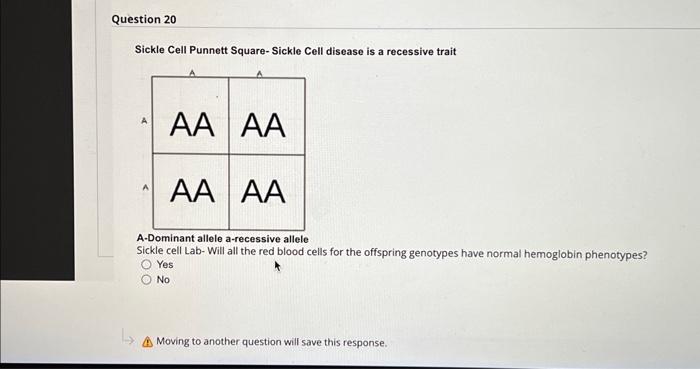 Solved Sickle Cell Punnett Square- Sickle Cell disease is a | Chegg.com