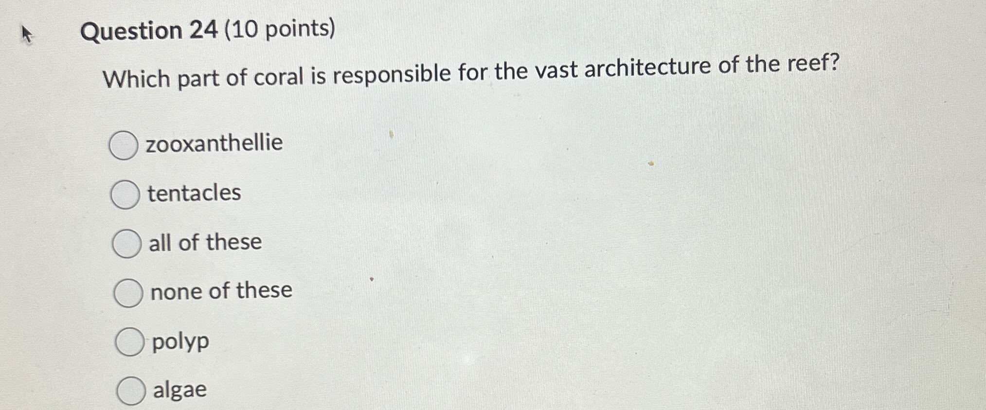 Solved Question 24 (10 ﻿points)Which part of coral is | Chegg.com