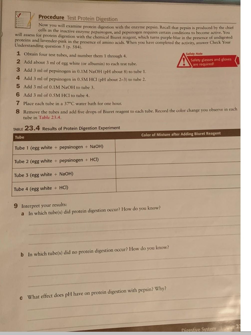 Solved Procedure Test Carbohydrate Digestion In the | Chegg.com