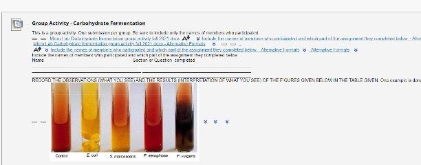 Group Activity - Carbohydrate Fermentation Hime | Chegg.com