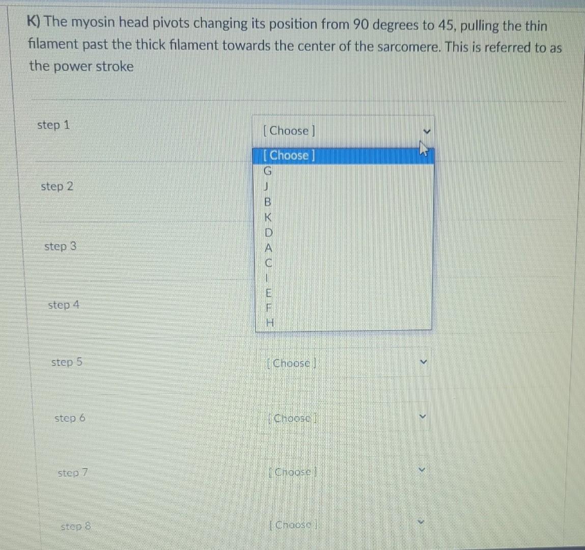 Solved Place muscle contraction steps in order. ACh | Chegg.com
