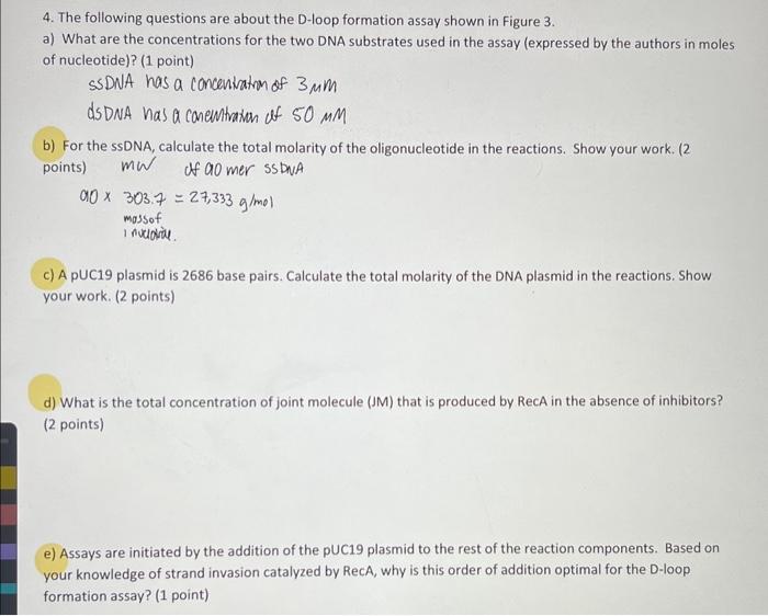 Solved 4. The following questions are about the D-loop | Chegg.com