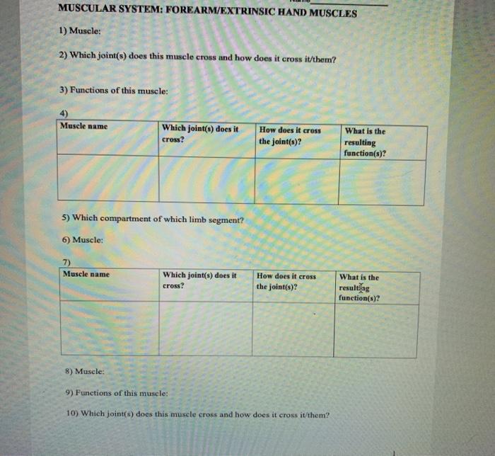 Solved MUSCULAR SYSTEM: FOREARM/EXTRINSIC HAND MUSCLES 1) | Chegg.com