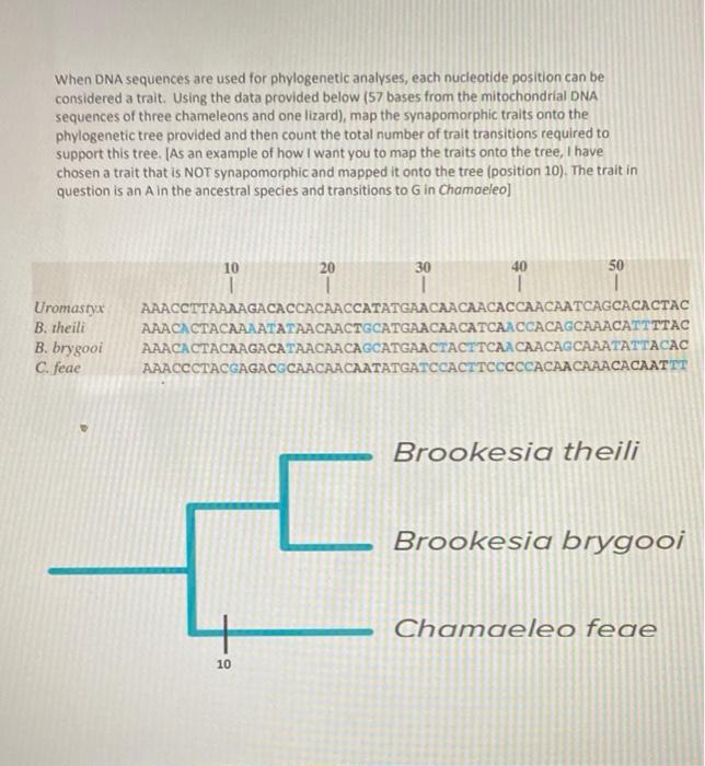 Solved When DNA sequences are used for phylogenetic | Chegg.com