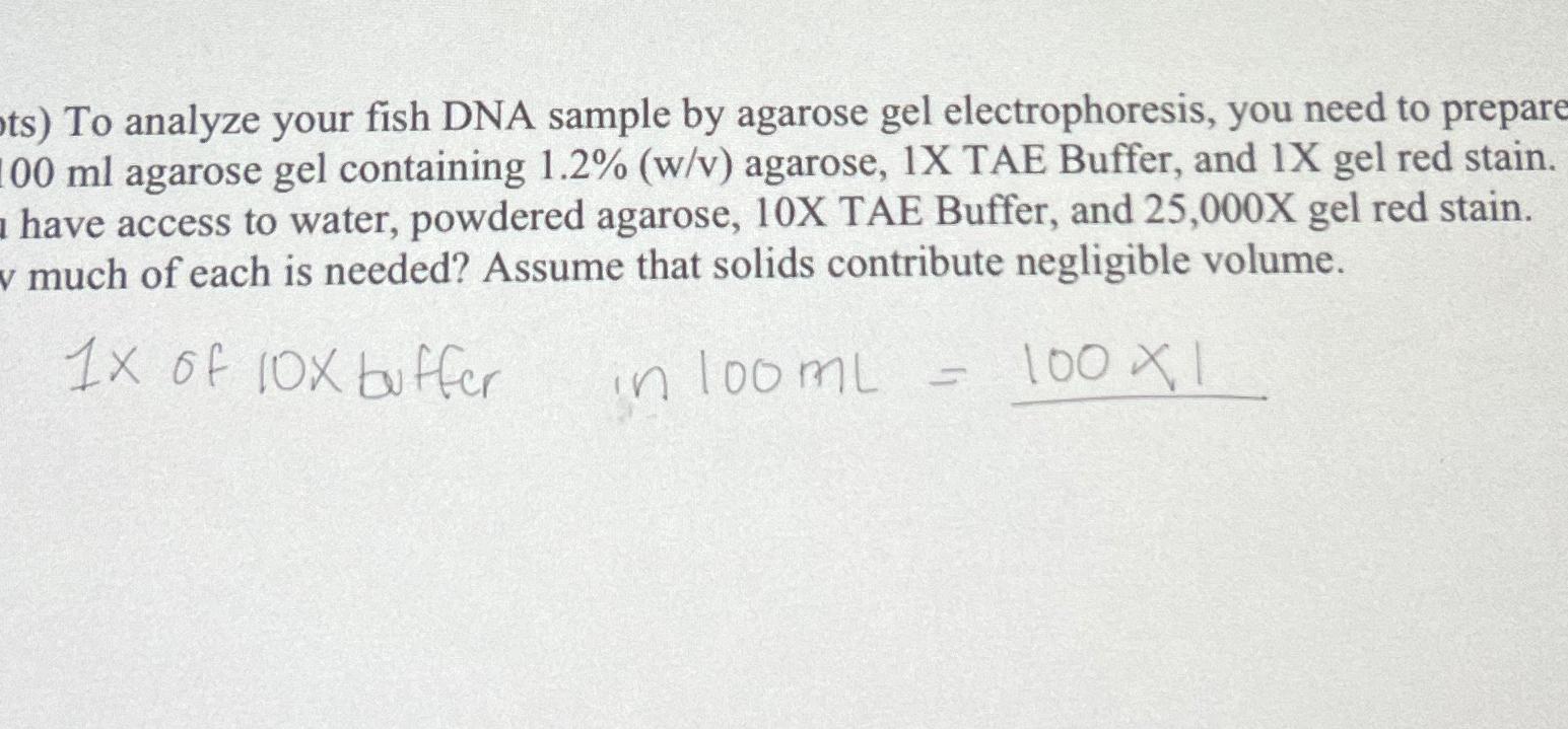 Solved ts) ﻿To analyze your fish DNA sample by agarose gel | Chegg.com