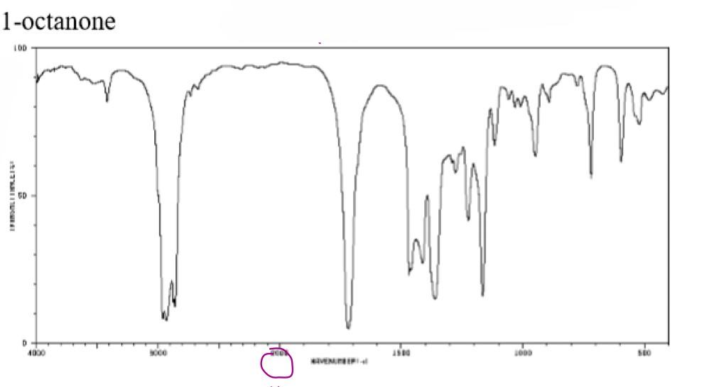 Solved 1-octanone | Chegg.com