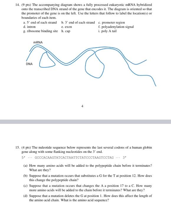 Solved 14. ( 9 pts) The accompanying diagram shows a fully | Chegg.com