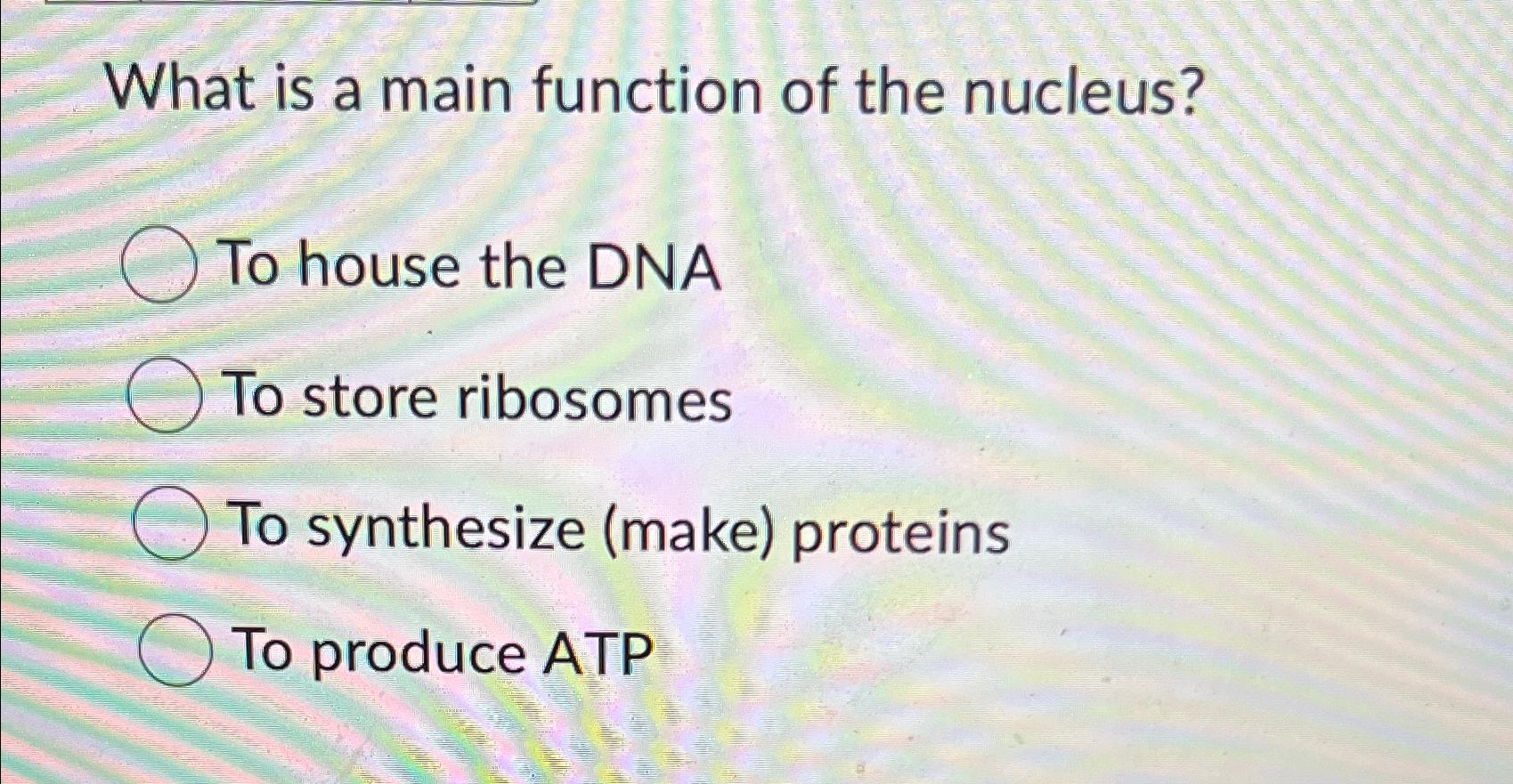 Solved What is a main function of the nucleus?To house the | Chegg.com