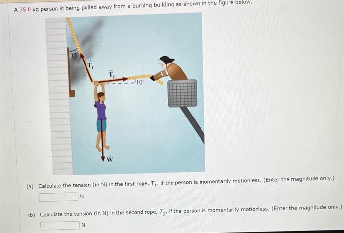 Solved A 75.0 kg person is being pulled away from a burning | Chegg.com