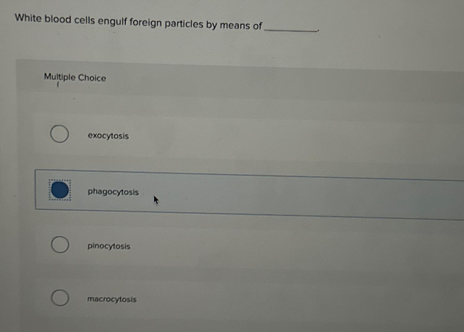 Solved White blood cells engulf foreign particles by means | Chegg.com