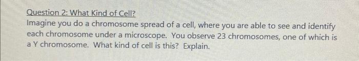 Solved Question 2: What Kind of Cell? Imagine you do a | Chegg.com