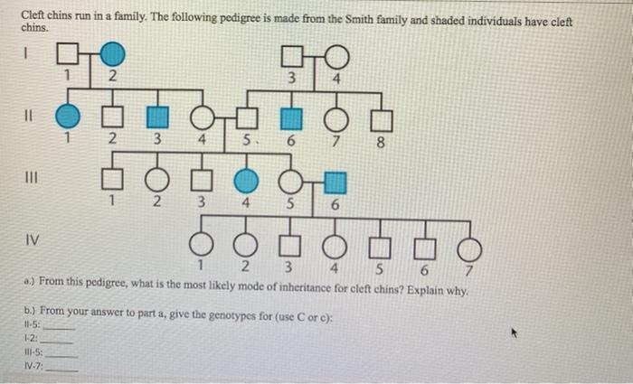 Solved Cleft chins run in a family. The following pedigree | Chegg.com