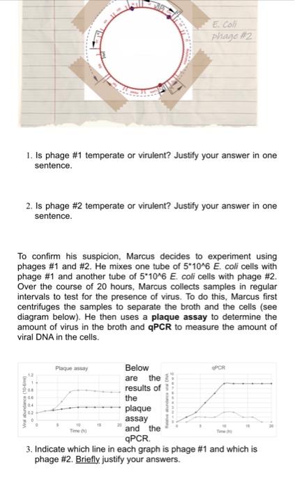 Solved Part 1 Labeling the parts of a bacteriophage | Chegg.com