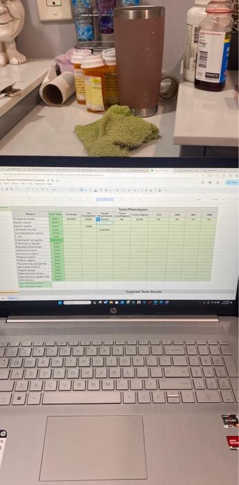 Solved can someone help me fill in the chart | Chegg.com