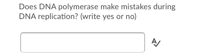 Solved Does DNA polymerase make mistakes during DNA | Chegg.com