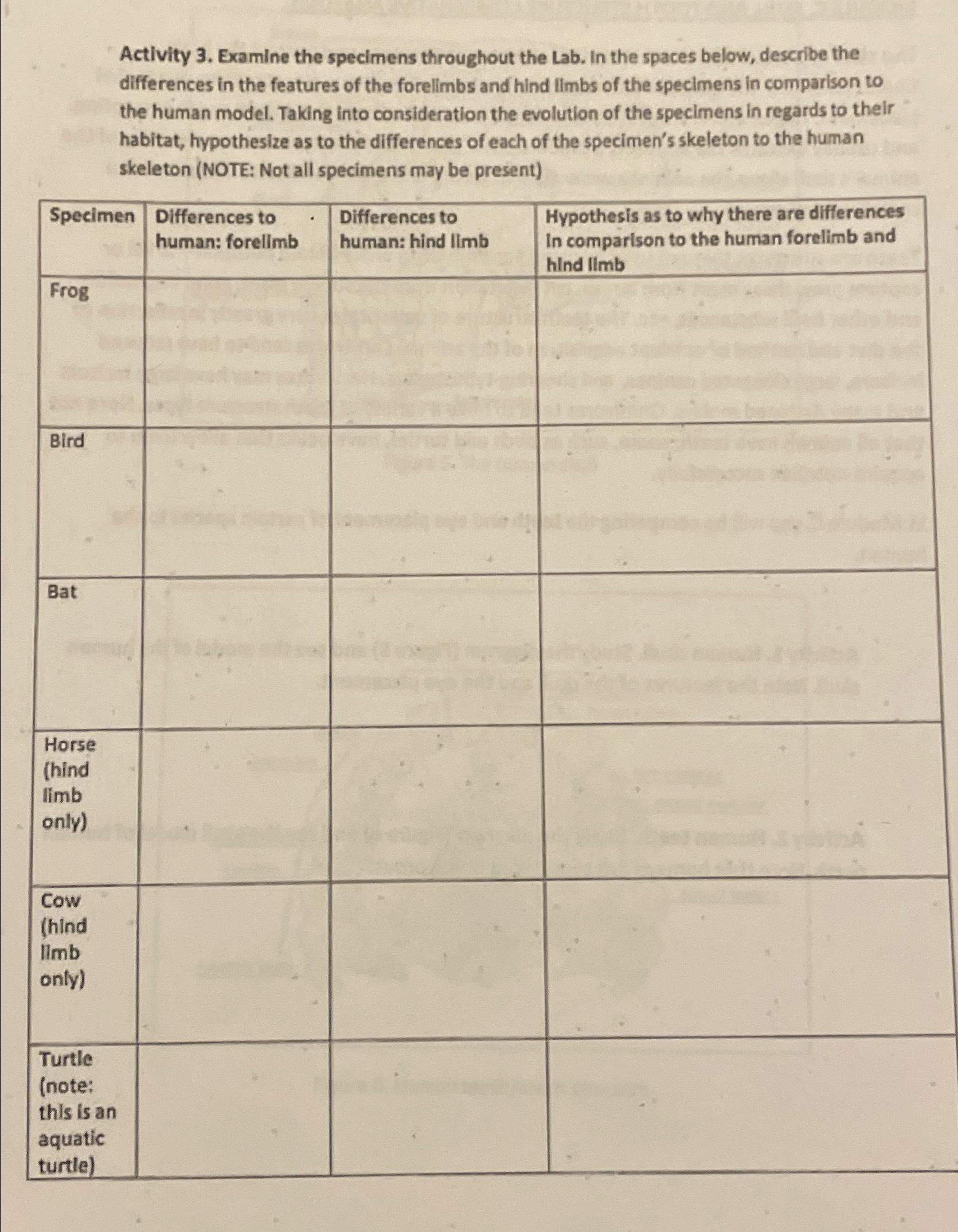 Solved Actlvity 3. ﻿Examine the specimens throughout the | Chegg.com
