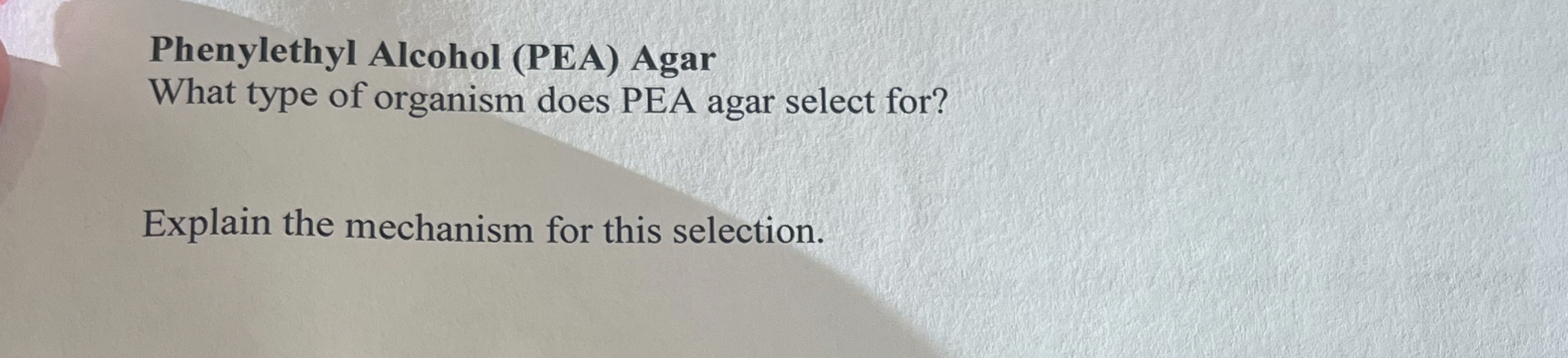 Solved Phenylethyl Alcohol (PEA) ﻿AgarWhat type of organism | Chegg.com