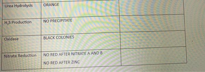 Solved You will identify an unknown bacterium based on a | Chegg.com