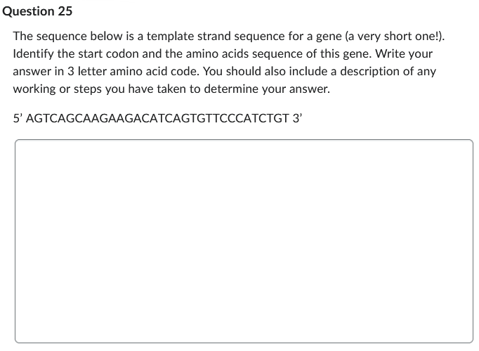 Solved Question 25The sequence below is a template strand | Chegg.com