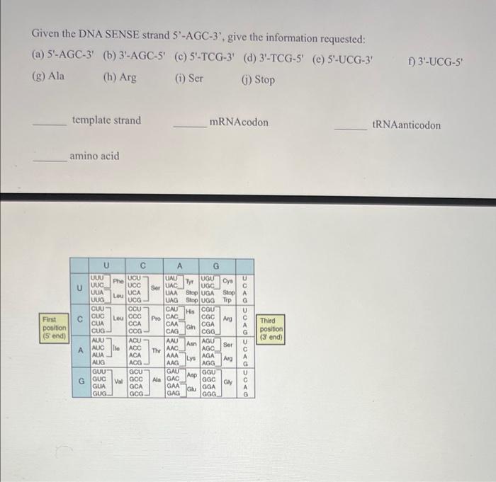Solved Given the DNA SENSE strand 5'-AGC-3', give the | Chegg.com