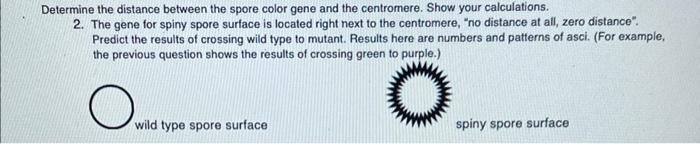 Determine the distance between the spore color gene | Chegg.com